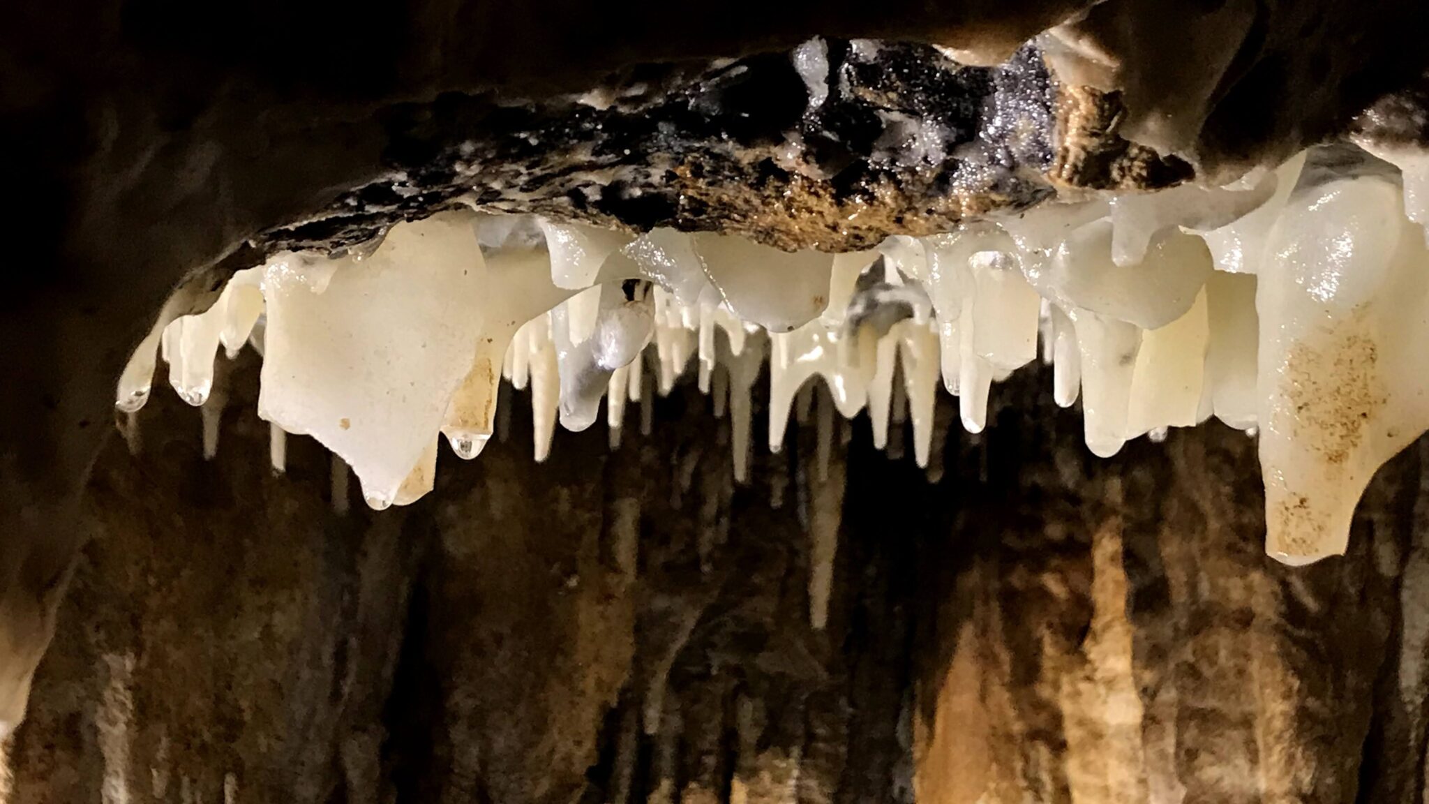 Tours - Cave Of The Mounds