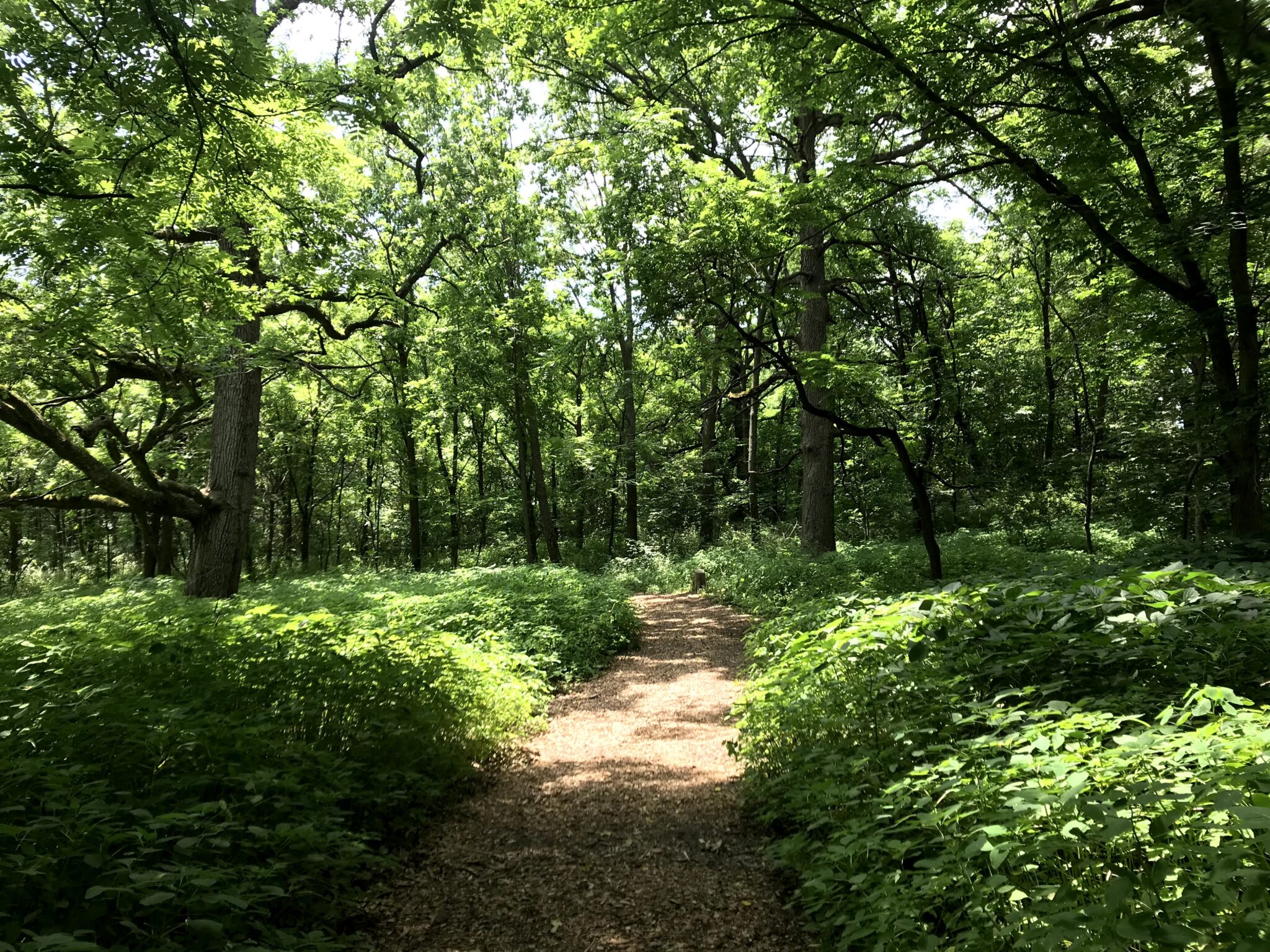 Plan Your Visit - Cave Of The Mounds